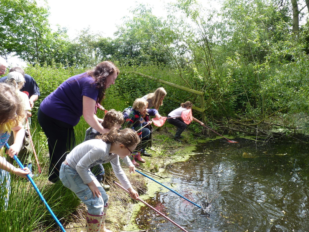 Entry now open for Schools' Dorothy Morley Conservation Awards - CPRE ...