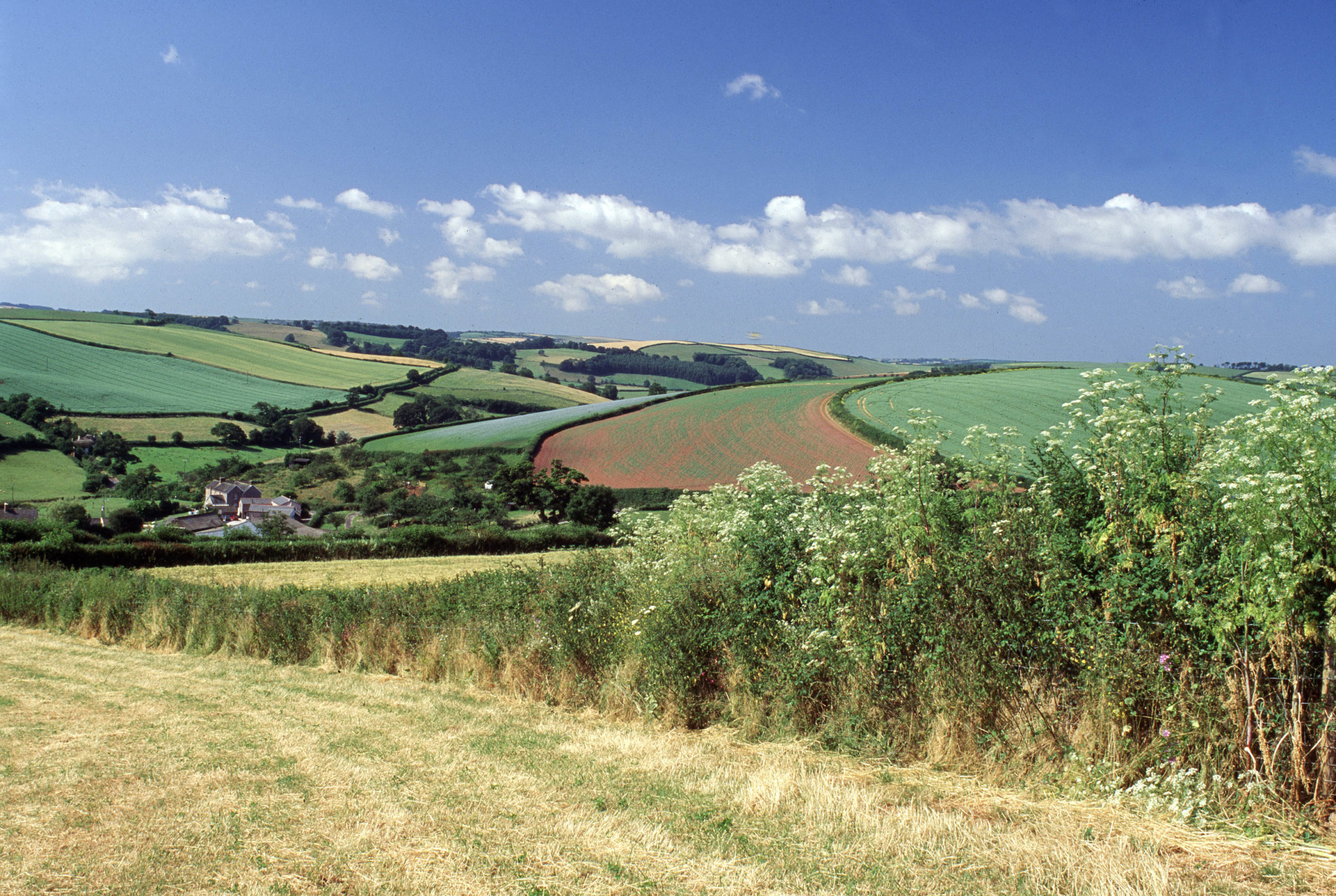 CPRE publishes a Manifesto for Berkshire’s Countryside - CPRE Berkshire